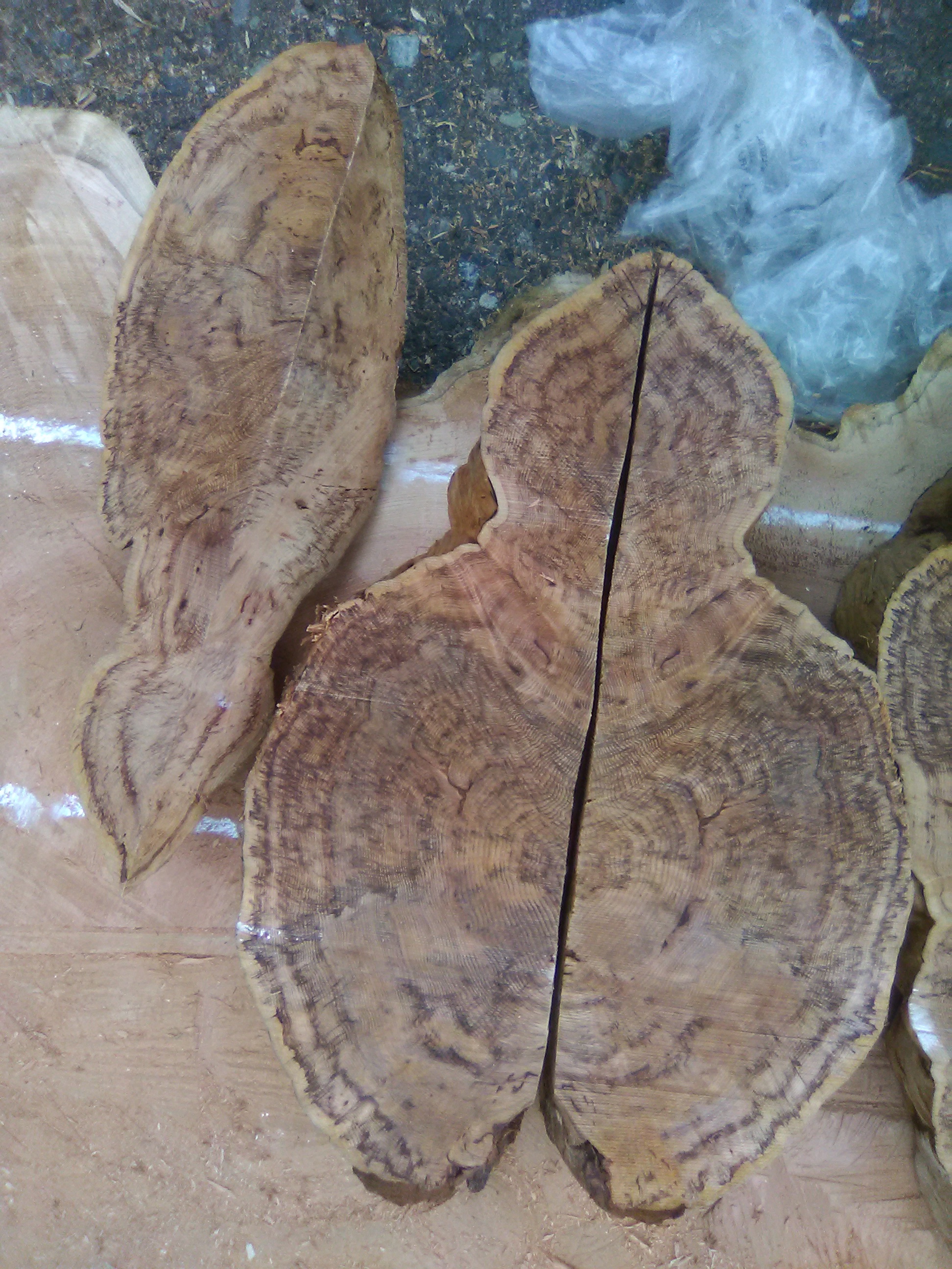 The Great Burl Hunt of 2021 - Save 20% on a new Burl flute!